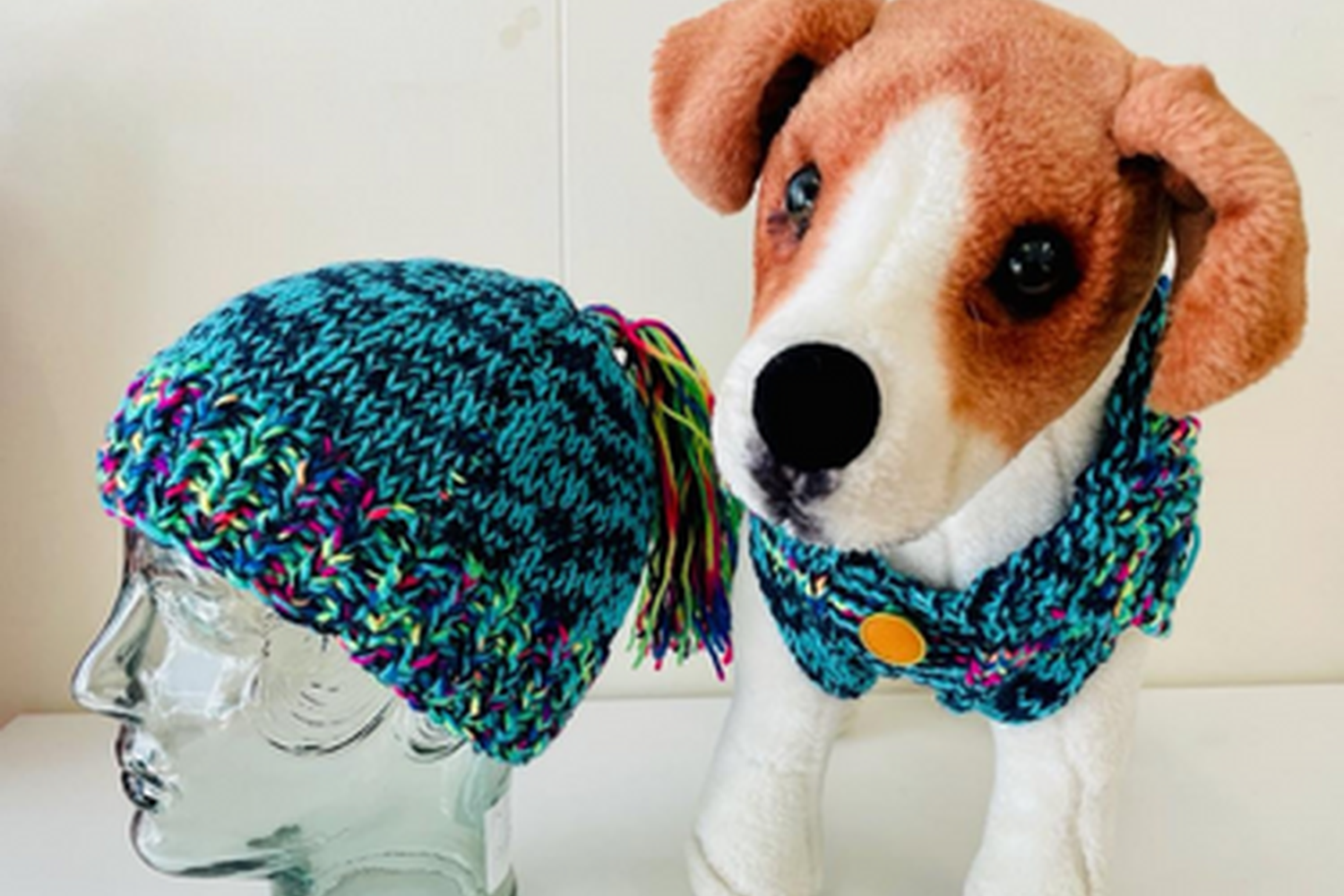 Donate your pre-loved items to our centres | National Animal Welfare Trust